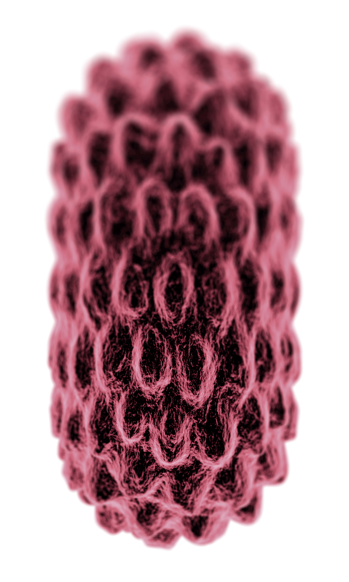 Mecanismos de resistencia del virus de la mixomatosis